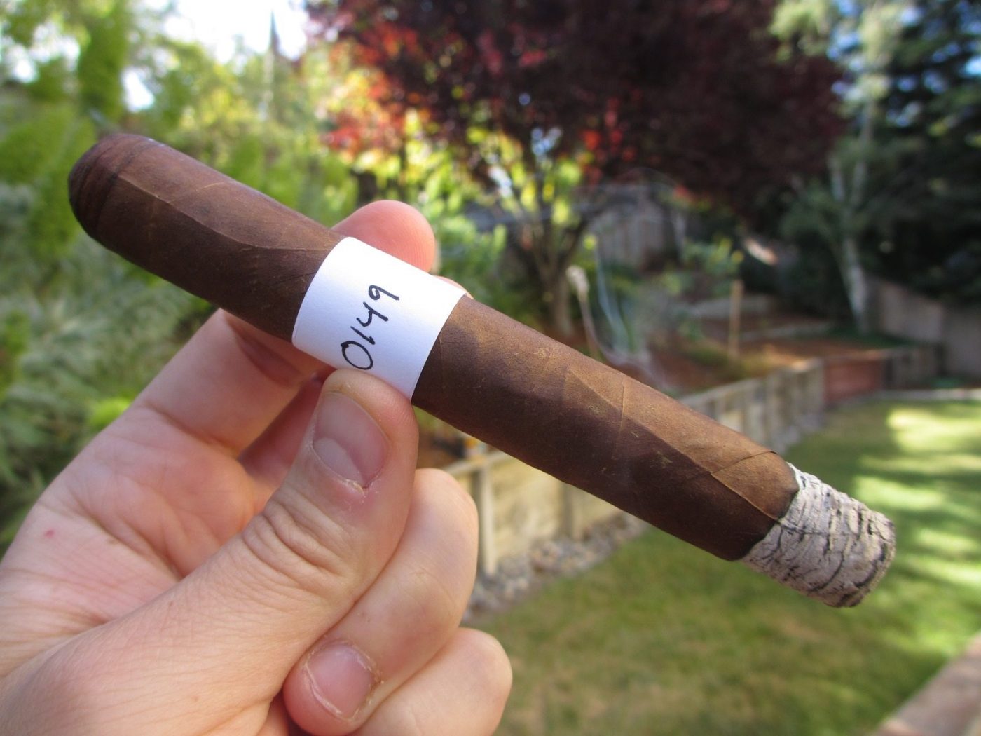 Blind Cigar Review: Cigars of Habanos (COH) Custom Rolled Canonazo ...