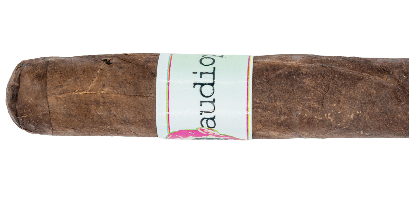 Emilio Audiophile Toro - Blind Cigar Review - Blind Man's Puff