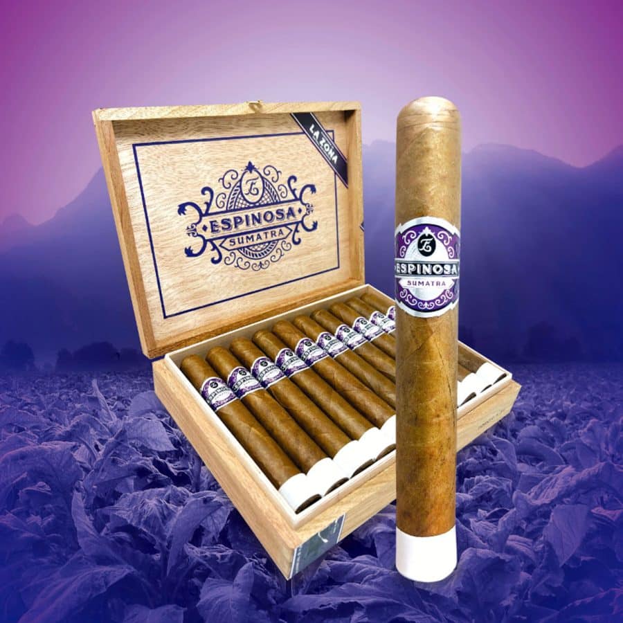 Caravan Fair Warning by Espinosa BP Rabito - Blind Cigar Review - Blind ...