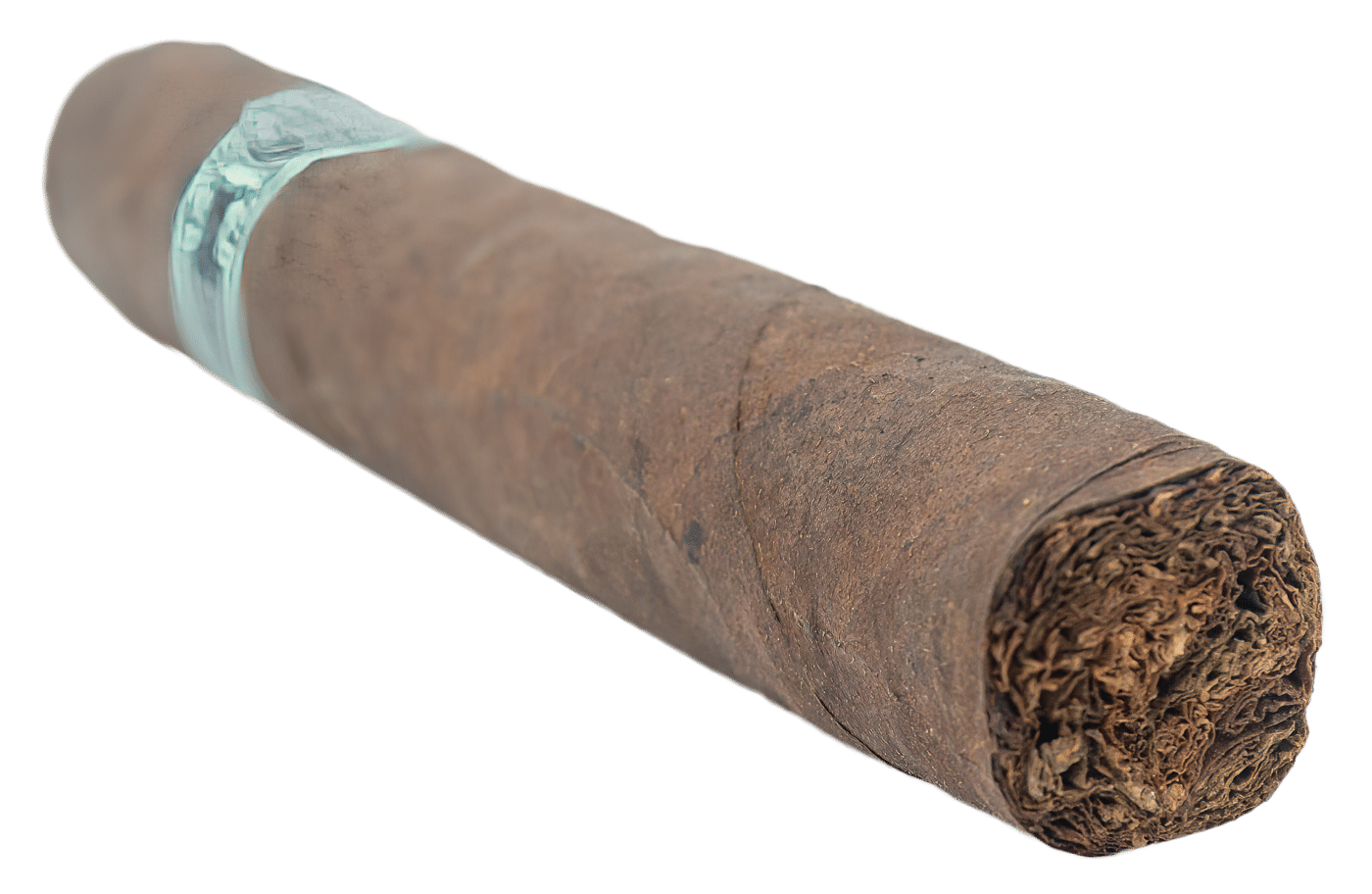 Warped Companion de Warped - Blind Cigar Review